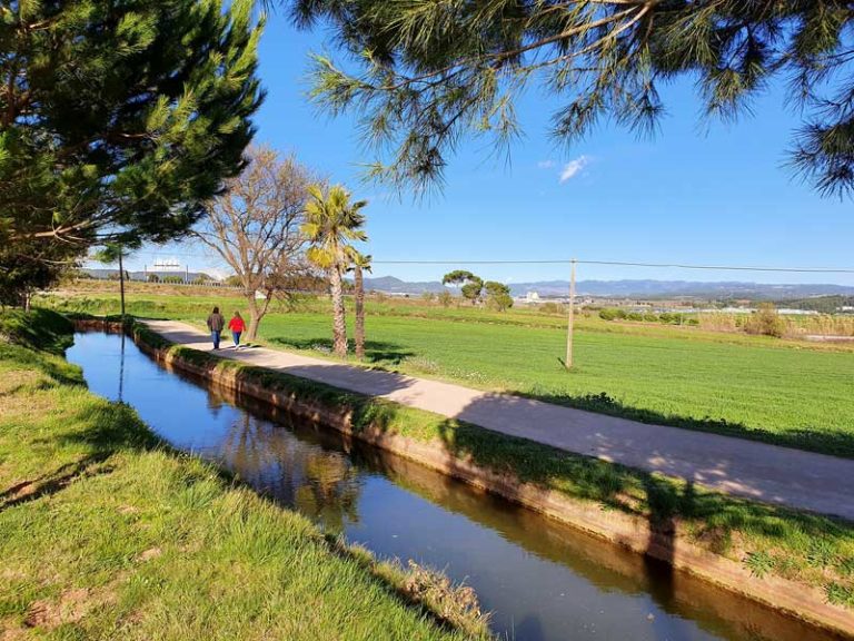 Camí de la Sèquia: del parc de l'Agulla als aiguamolls de la Bòbila